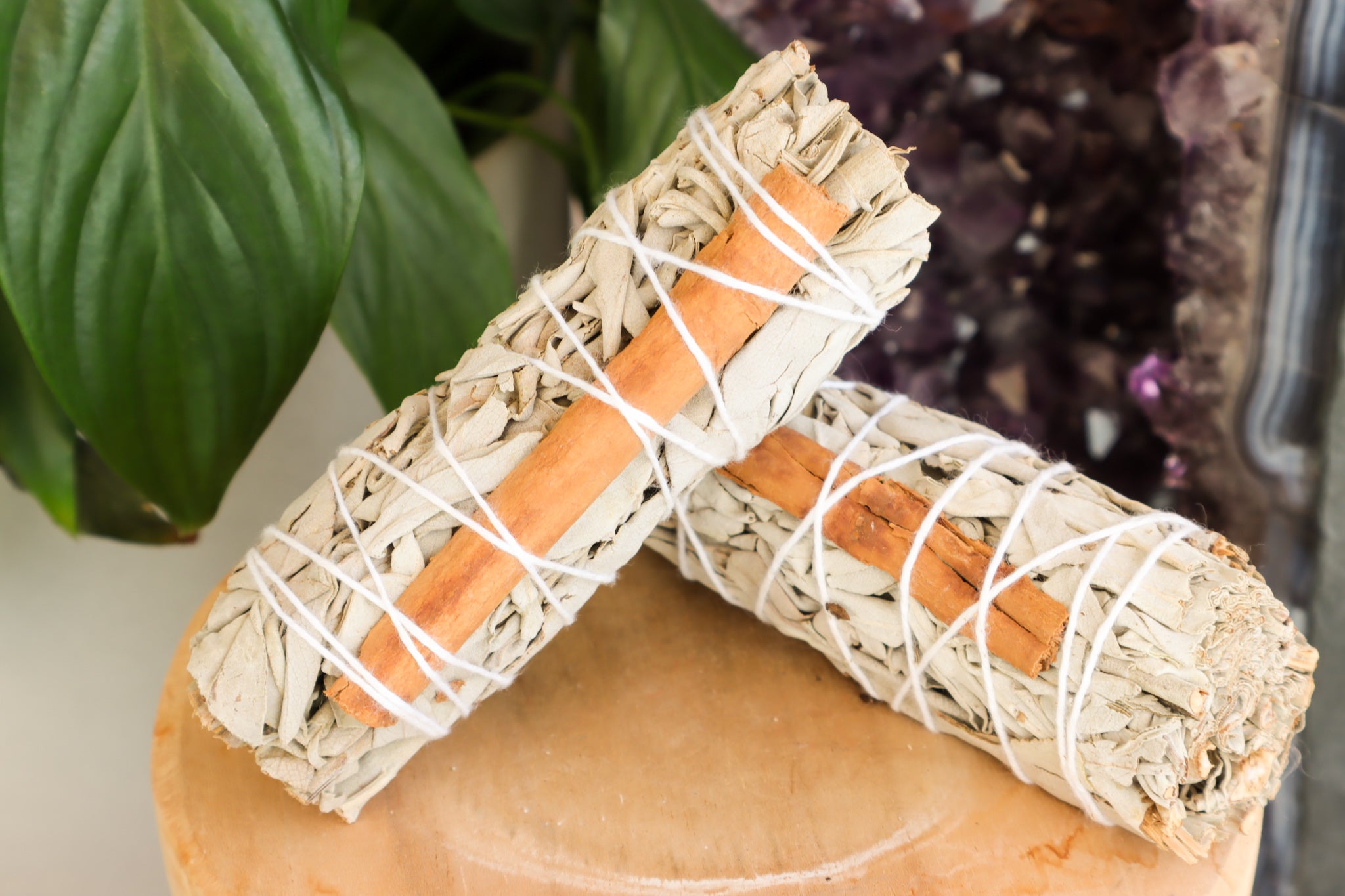 Shop Our Beautiful Range of Sage Cleansing Sticks | Tali & Loz – Tali ...